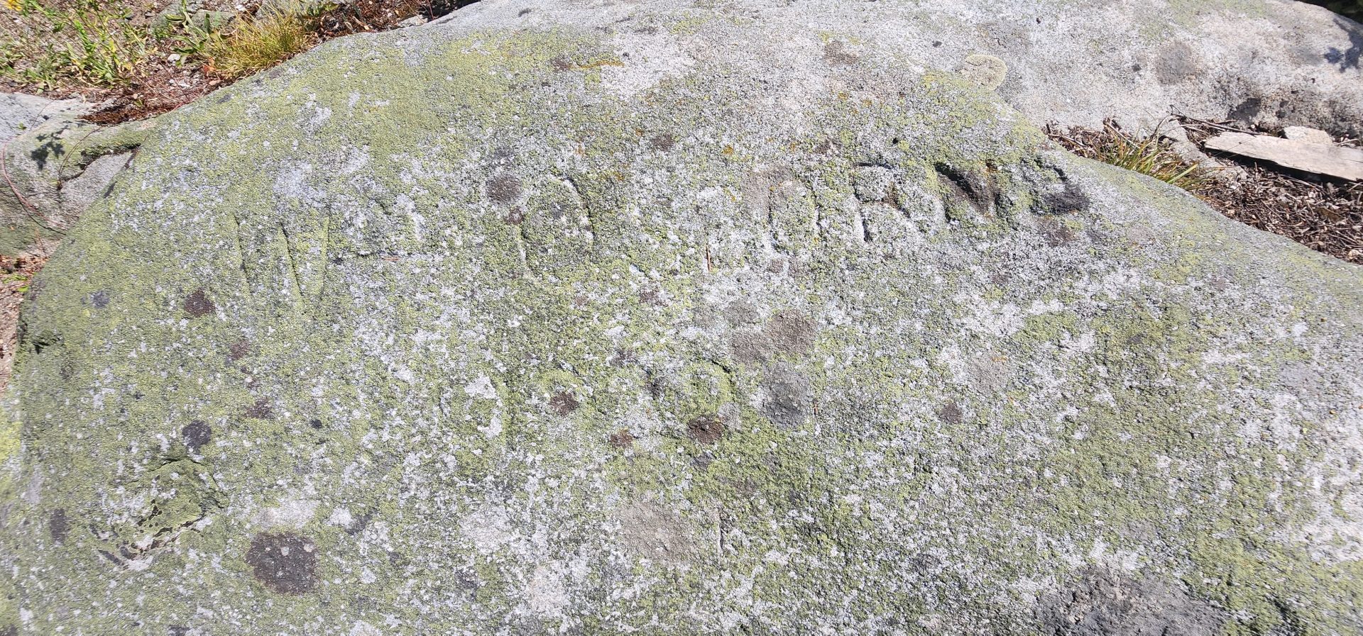 Austin Ridge Lookout – Idaho Fire Lookouts